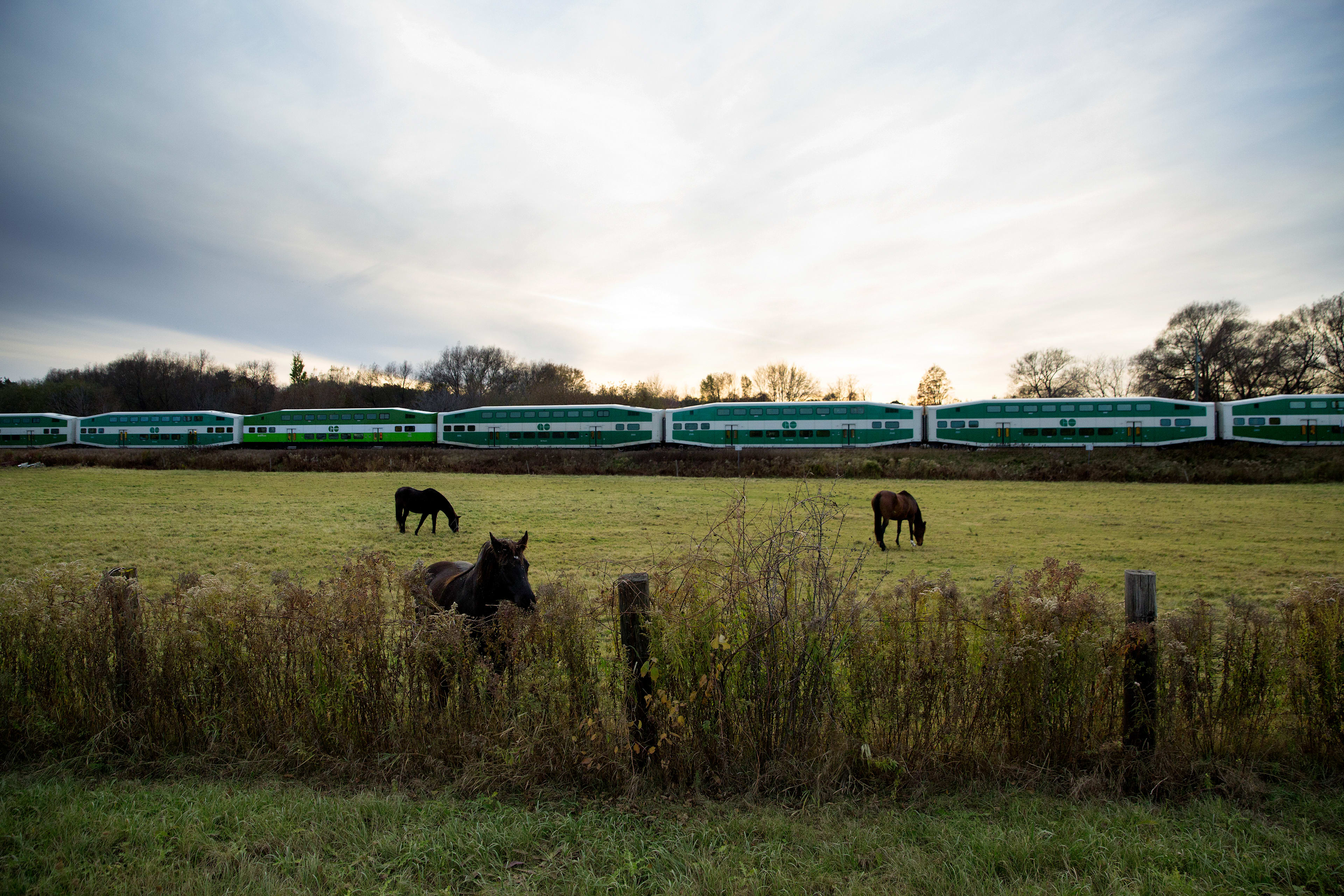 GO Transit ridership update – how is your station or line doing?