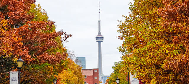 UP Express - Solo Travel in Toronto: 5 Things to Do in the City