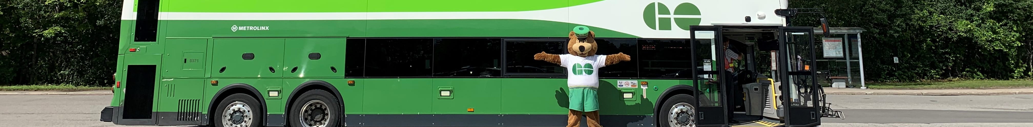 GO Transit - GO Bear