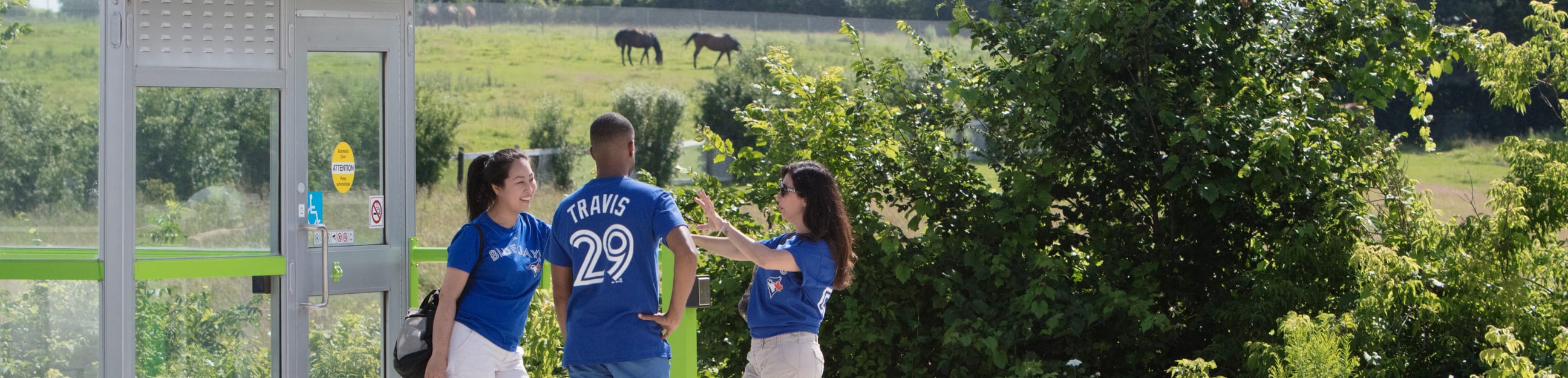 Weekend & Holiday Unlimited Pass | GO Transit