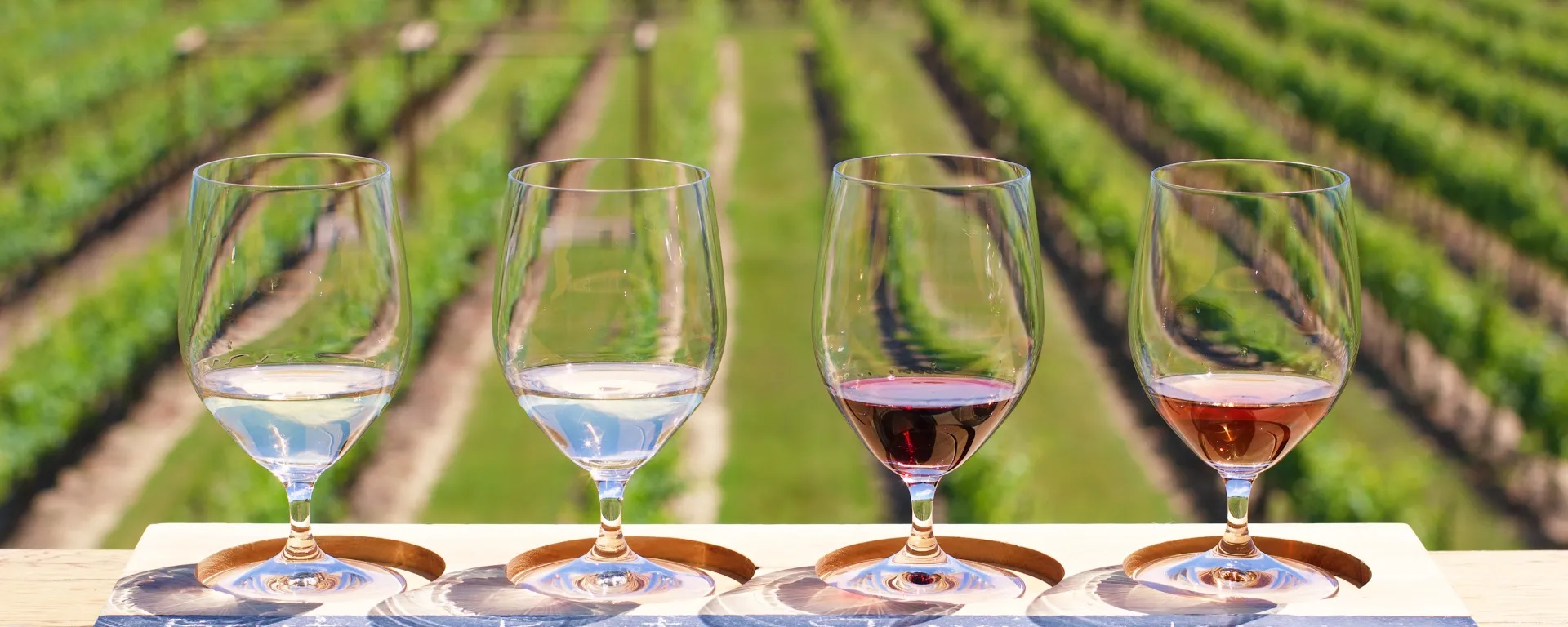 GO Transit takes you to wine country with new partnership