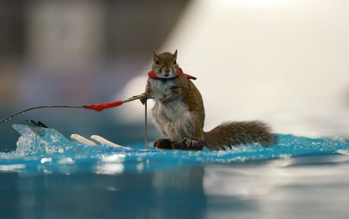 Waterskiing squirrel headlines Toronto Boat Show