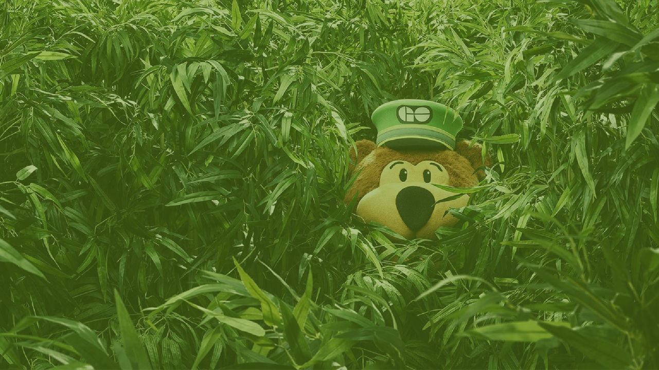 Learn more about the GO Bear! | GO Transit